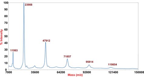 Maldi Tof For Intact Mass Pronalyse