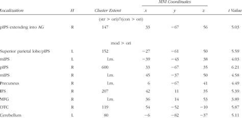 Whole Brain Activation For Shared Activation Of Both Episodic Download Scientific Diagram