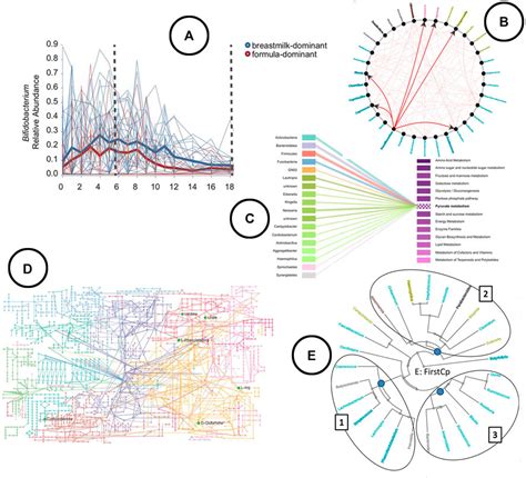 Frontiers Exploring The Microbiome Analysis And Visualization Landscape