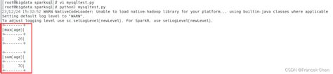 Spark编程实验三：spark Sql编程编程实现将rdd转换为dataframe 源文件内容如下包含idnameage 1