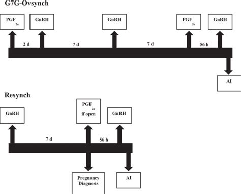 Timed Ai G7g Ovsynch And Resynch Protocols Using Pgf 2α And Gnrh The