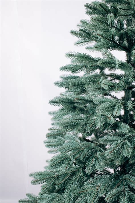 ᐉ Ялинка штучна Sgb лита Бельгійська 2 1 м Блакитний • Краща ціна в Києві Україні • Купити в