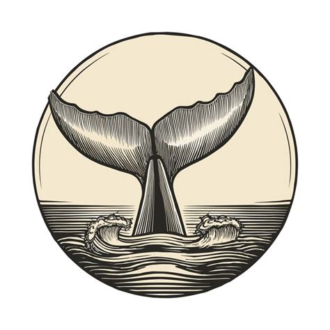 Whale Tail Artwork Images Free Download On Freepik