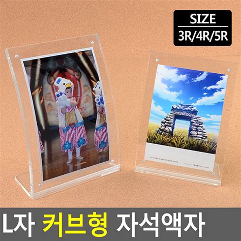 다모아트리