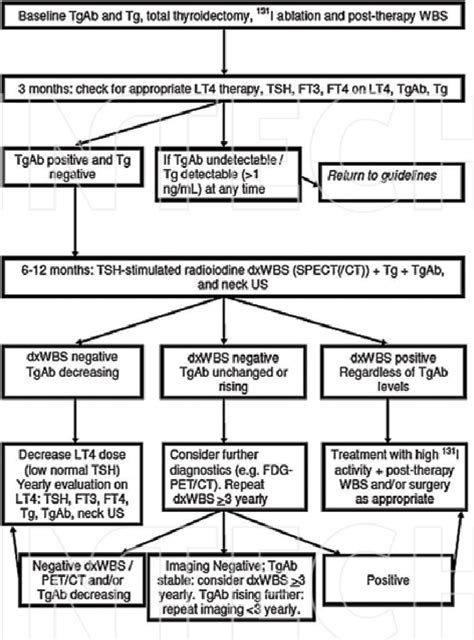 The Algorithm For Treatment And Follow Up In Tb Ab Positive
