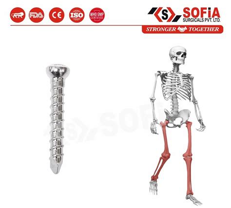 Stainless Steel 4 9mm Interlocking Bolt At ₹ 85 Piece In New Delhi Id