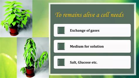 Diffusion Osmosis Ppt Chemistry Science