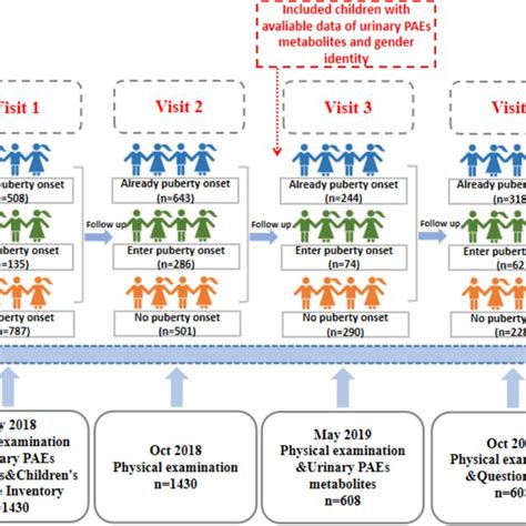 The Study Design And Study Population Selection During Consecutive