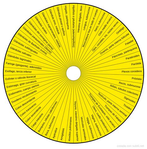 Subtil Biometro Endodermo