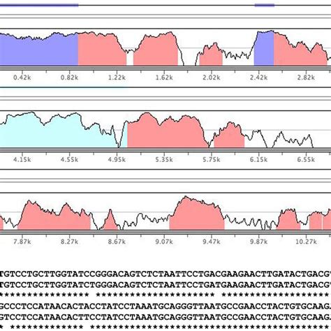 Cross Species Comparative Sequence Alignment A Genomic Alignment