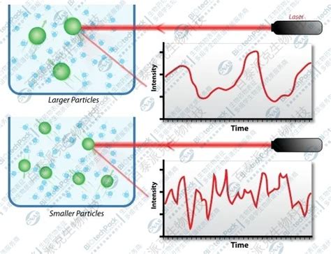 动态光散射分析 Dls分析 光子相关光谱分析 准弹性光散射分析
