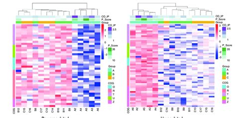Hierarchical Clustering Analysis Of Differentially Expressed Proteins