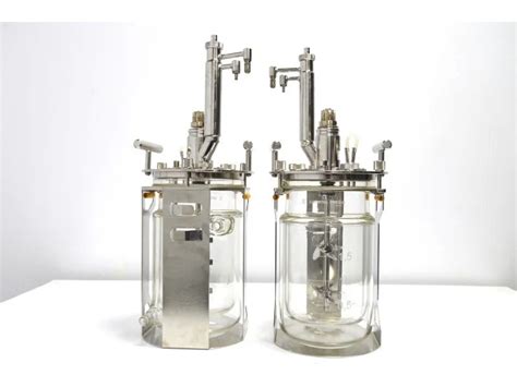 Sartorius Stedim Biostat B B2 Dual Control Bioreactor For Microbial Cultures