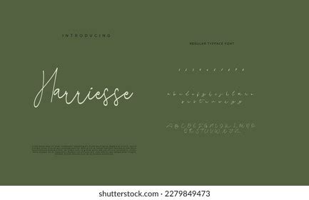 Handwritten Script Font Hand Drawn Brush Stock Vector Royalty Free Shutterstock