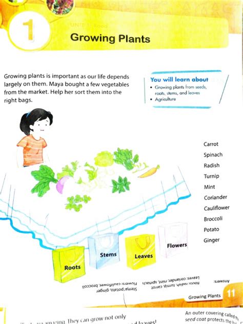 Class 5 Science Book Pdf Download Free Pdf Seed Germination