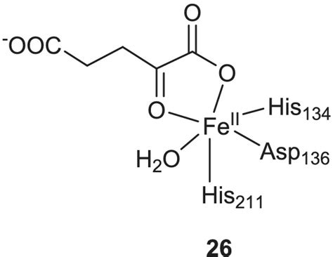 Structure Of Nonheme Iron Ii Oxoglutaratebased Oxygenase Download Scientific Diagram