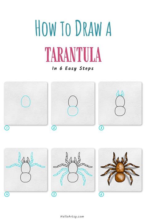 How To Draw A Tarantula