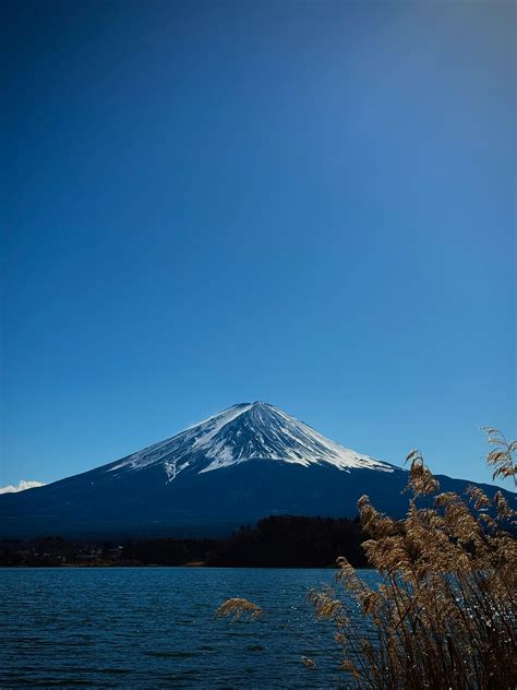 가지 간판 거리 건축 겨울 고가도로 구름 금속 구조물 나무 낮 다리 대중 교통 도시 경관 도시 풍경