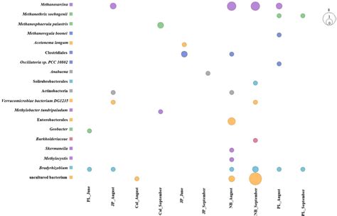 Bubble Chart Output By Megan Illustrating The Number Of Putative Nifh