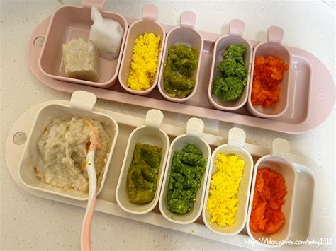 채채 이유식 155일 이유식 시작 쌍둥이 초기토핑이유식 스케줄공유 이유식용품 수유스케줄 네이버 블로그