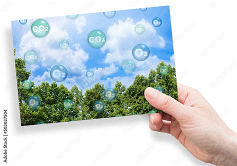 Tree Canopy Against A Sky Background With Oxygen O2 And Carbon Dioxide CO2 Molecules Carbon