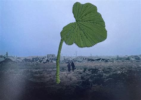 Sabrina Judeh On Tumblr