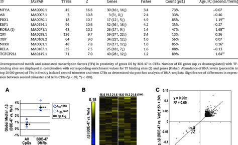 Transcription Factor Binding Site Tfbs Enrichment Analysis Of Bde 47