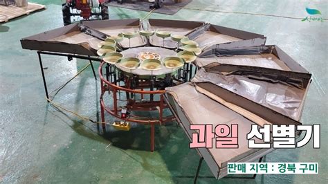 신바람 중고 기계 박현수 회원님 매물 과일선별기 판매합니다 Youtube