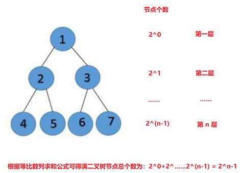 数据结构初阶 二叉树介绍基本性质 堆实现顺序结构 一只少年AAA 博客园