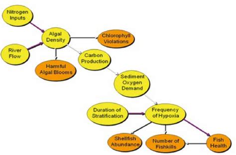 a simple bayesian network download scientific diagram