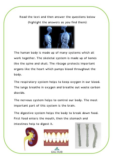 Human Body Comprehension Eal Hub