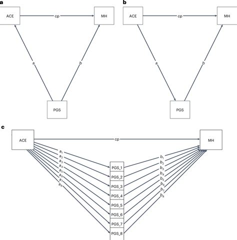 Structural Equation Models To Estimate The Genetic Contribution To The Download Scientific