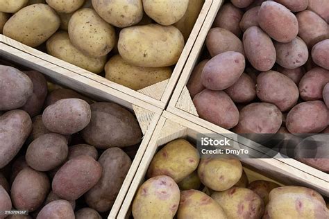 Fresh Harvest 슈퍼마켓에 진열된 다양한 종류의 생감자를 특징으로 하는 평평한 레이아웃과 클로즈업 구성 갈색에 대한 스톡 사진 및 기타 이미지 Istock