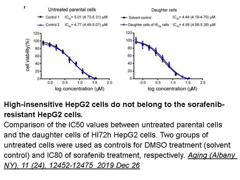 美国apexbio中文官网 Sorafenib Raf Kinases And Tyrosine Kinases Inhibitor Cas 284461 73 0
