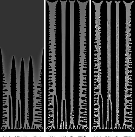 Figure 16 From Simulation Of Dendritic Eutectic Growth With The Phase