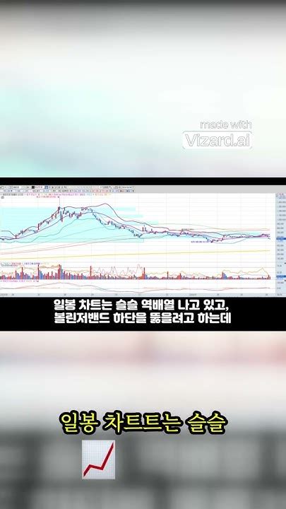 에코프로의 주가 전망과 실적 Youtube