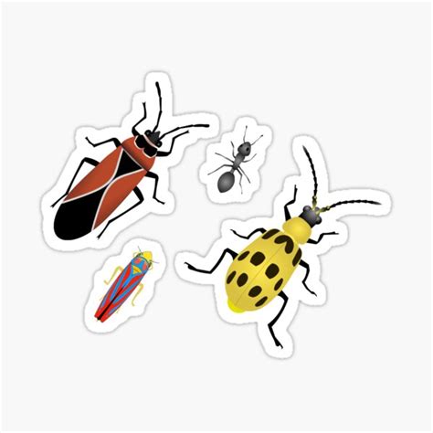 Bugs Sticker For Sale By Bealeiderman Redbubble