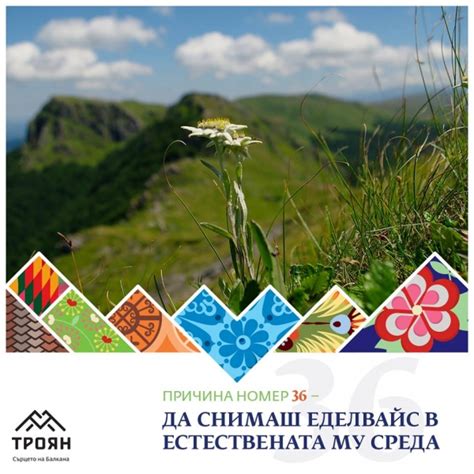 Официален туристически портал на община Троян - №36 - Да снимаш ...