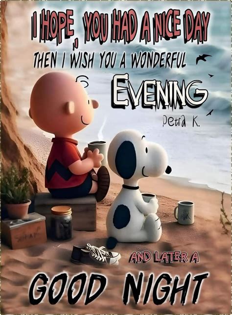 Pin By Catherine Hendrickson Jenkins On Good Evening Blessings Funny Good Night Pictures Good