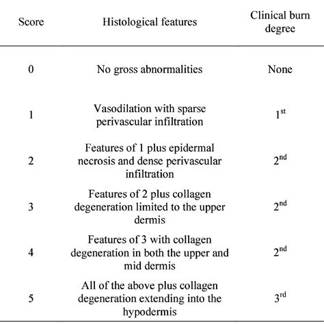 Summary Of Histological Scoring System Used To Grade Skin