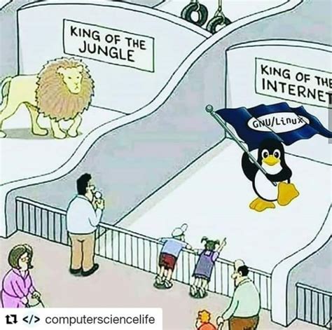 Linux Thats Satisfying For A Linux User Devrant