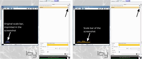 Scale Bar Icy Open Source Image Processing Software