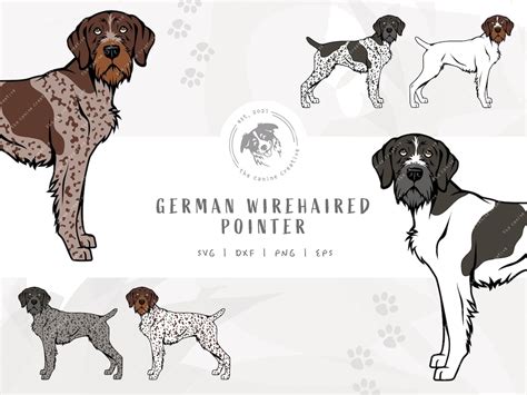 German Wirehaired Pointer Svg Standing Dog Svg Gwp Svg Layered