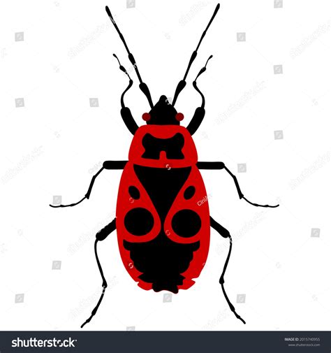Black Red Classic Colored Firebug Vector Stock Vector Royalty Free 2015740955 Shutterstock