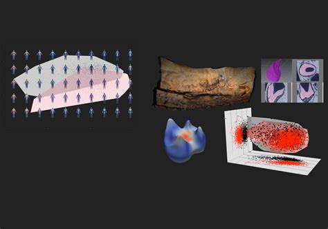 3dmorph 3d Shape Analysis For Paleoanthropology
