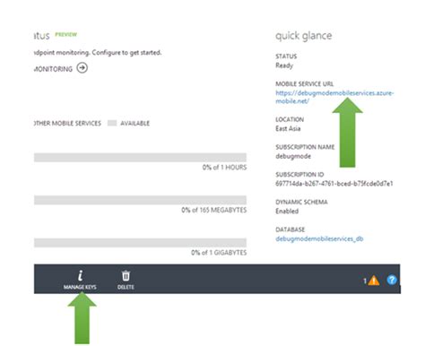 Windows Azure Mobile Services Data And Telerik Raddatagrid Two Good Things Together Helping