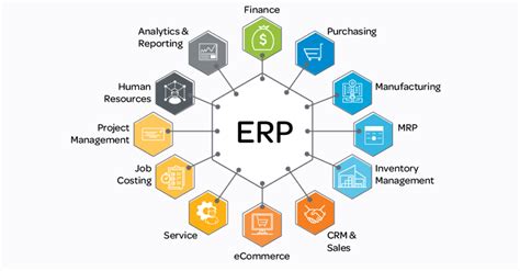 ERP Systems Why They Are Crucial For Startups