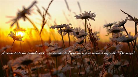 Manancial De Luz Deus Nos Pensamentos