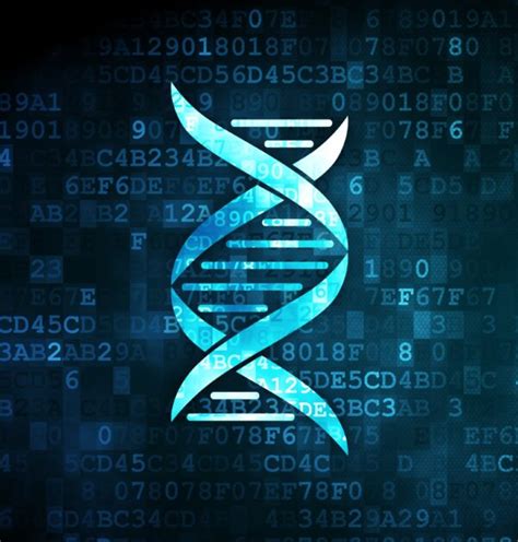 Dna Database Forensic Assurance