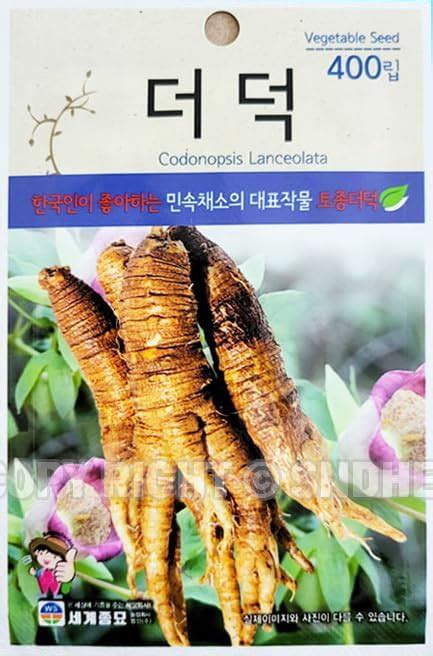 Codonopsis Lanceolata Seeds Korean 1 Packs 4 Grams 더덕